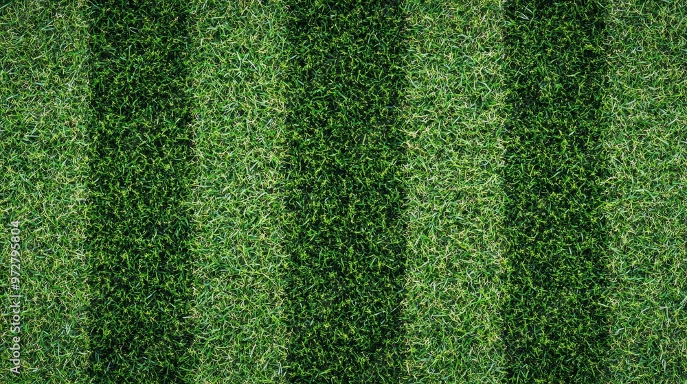 Green grass seamless texture on striped sport field. Astro turf pattern ...