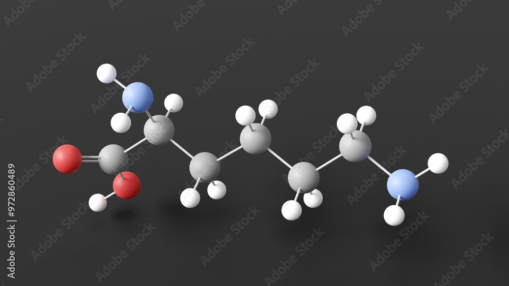 l-lysine molecule 3d, molecular structure, ball and stick model ...