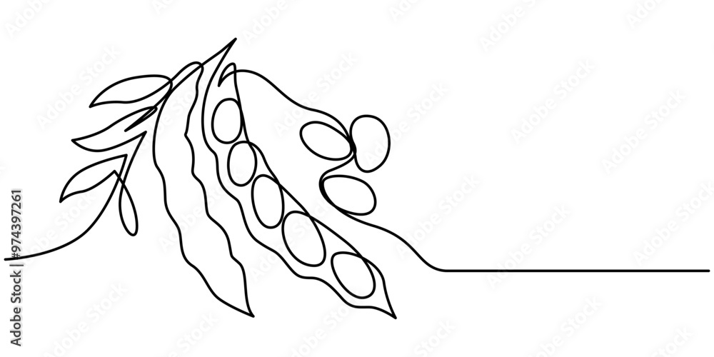 Fava beans simple color vector illustration. One continuous line art ...