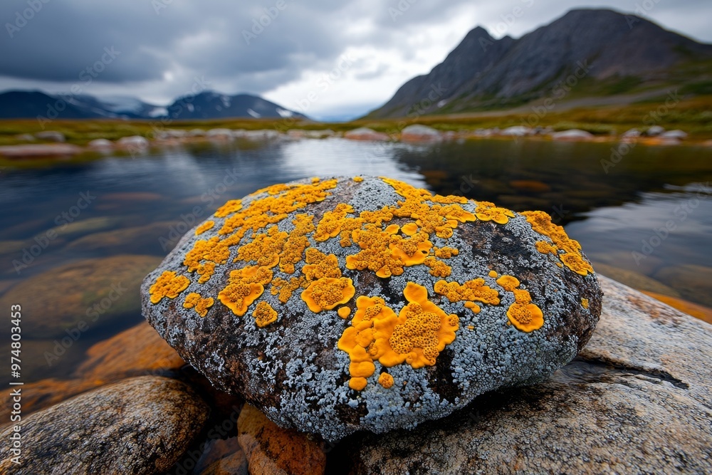 Lichen in the Tundra illustrated in a clean design, highlighting ...