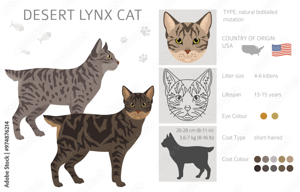 Desert Lynx Cat clipart. All coat colors set. All cat breeds ...