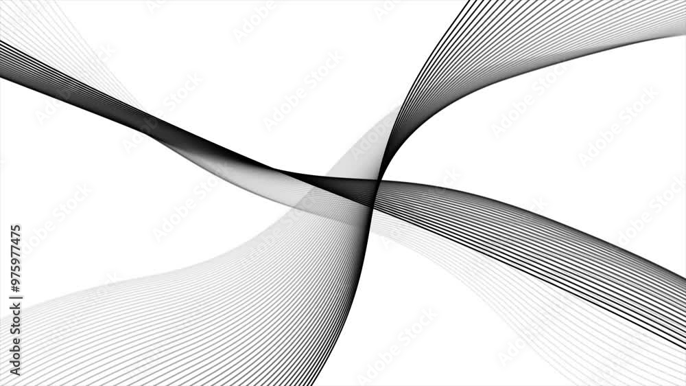 Abstract animation of black lines forming flowing curves on a white ...