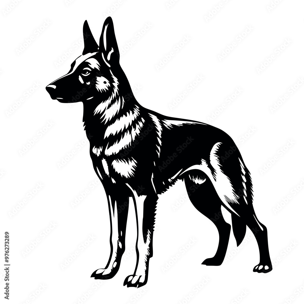 a German Shepherd dog. The dog is standing on all fours and is facing ...