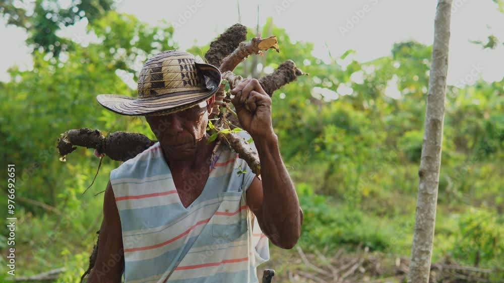 Campesino o trabajador del campo de la costa colombiana, cultivador de ...