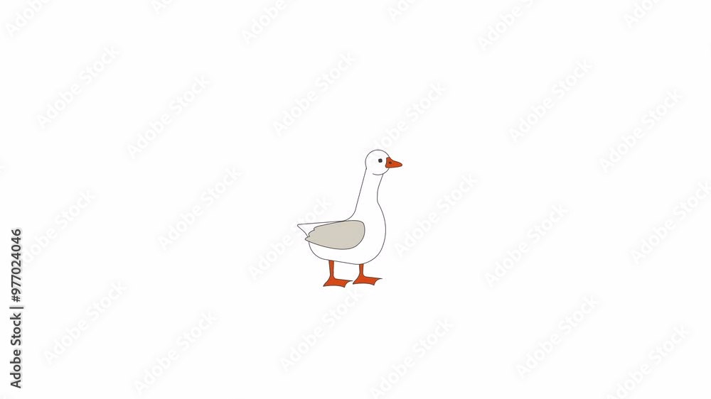 Domestic goose stretching long neck 2D character animation. Meat birds ...