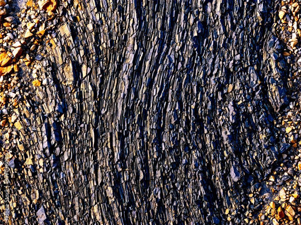 Shale A thin piece of shale with fine layered sediments rotating to ...