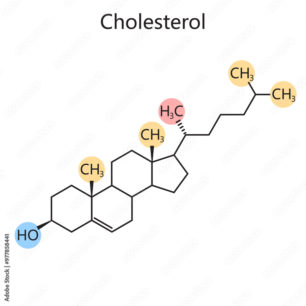 cholesterol molecular structure, chemical bonds and functional groups ...