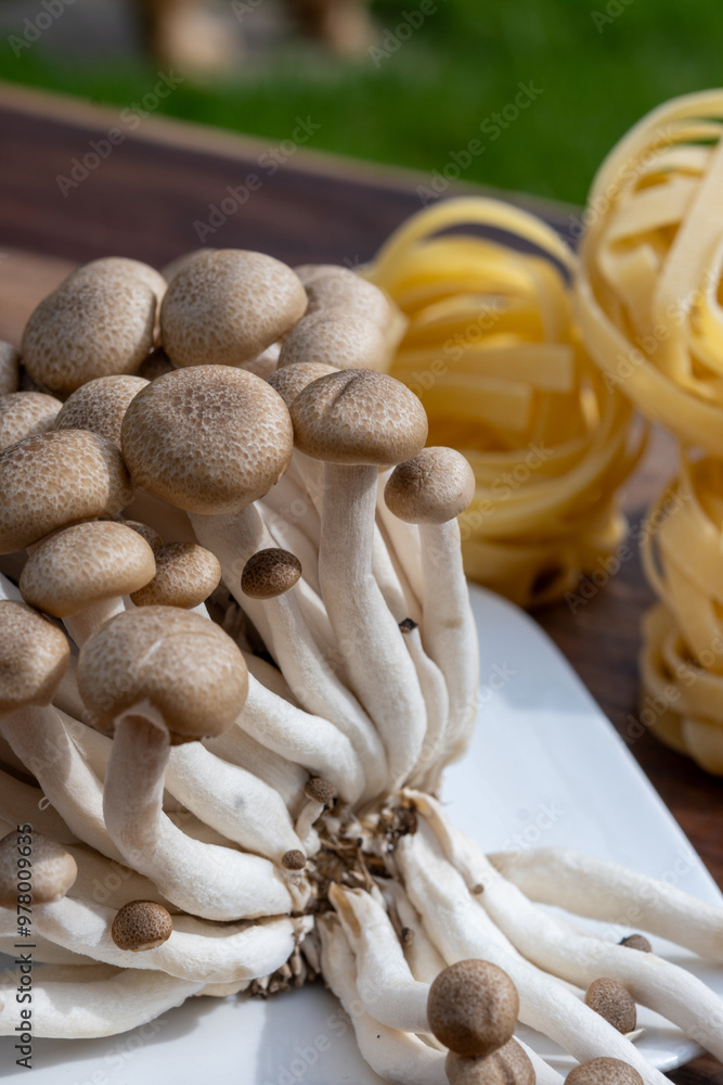 Making tagliatelle pasta with brown shimeji edible mushrooms, buna ...
