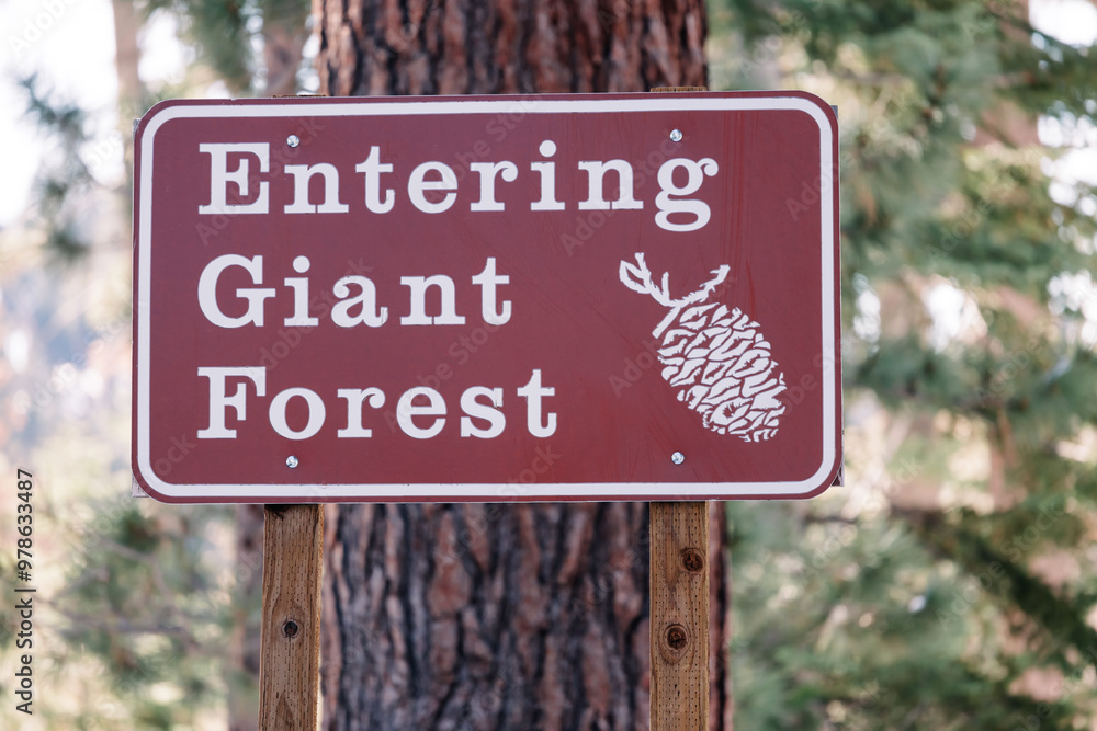 Entering Giant Forest sign welcoming visitors in Sequoia national park ...