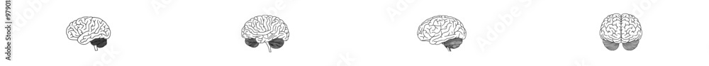 Doodle outline of human brain with one continuous line. Simple linear ...