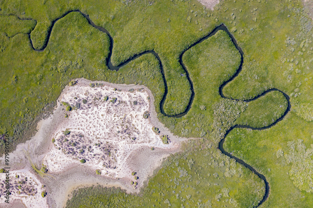 Aerial view of beautiful mangroves and serpentine river in wetlands ...