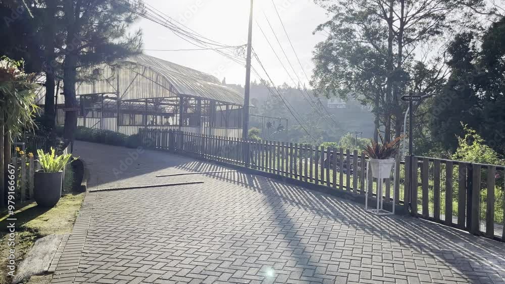 block paving road with sunrise view and dangling power lines Stock ...