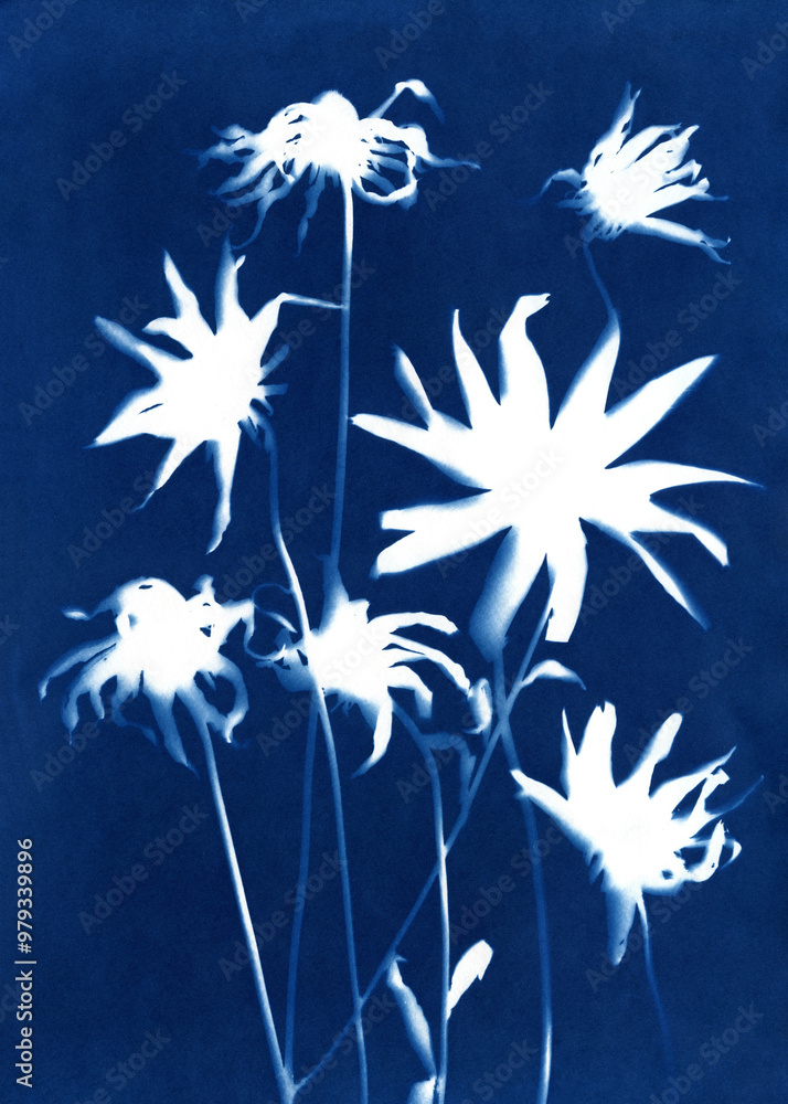 Unique hand-printed monotypes in Prussian blue. Cyanotypes, a kind of ...