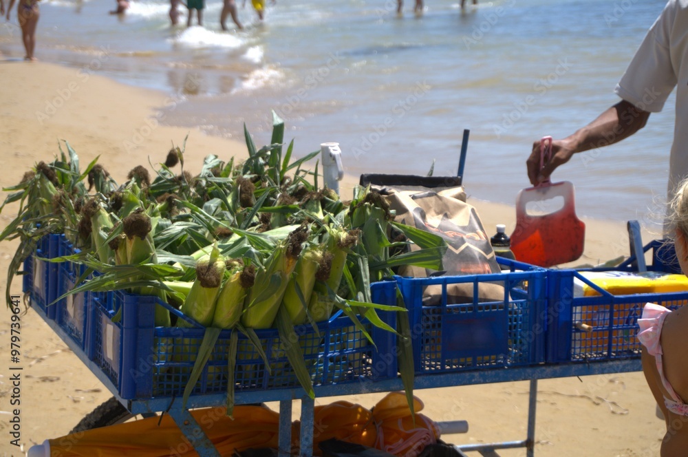 Grill on the beach, corn on the grill. Corn on the cob with the husk in ...