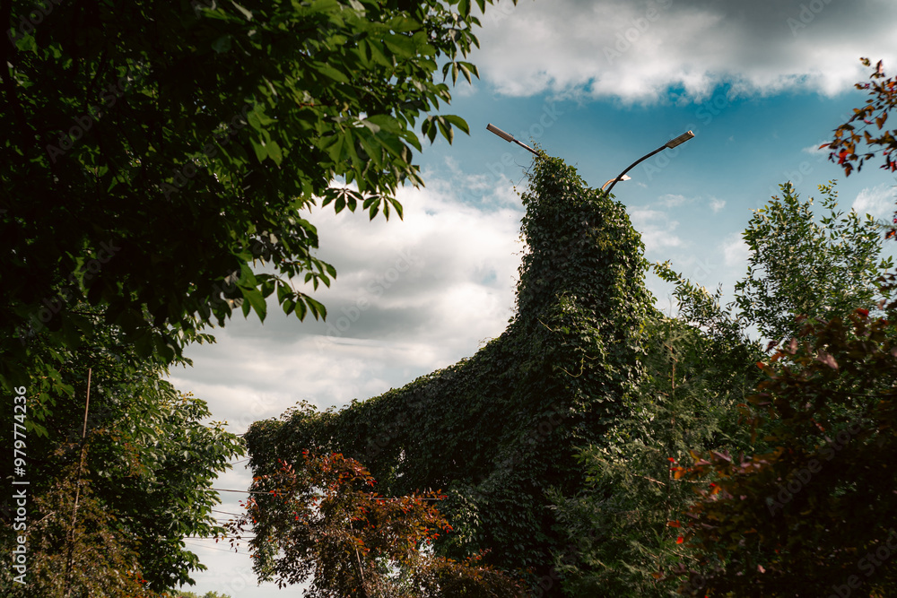 The ivy-covered lamp post is a striking example of how nature and human ...