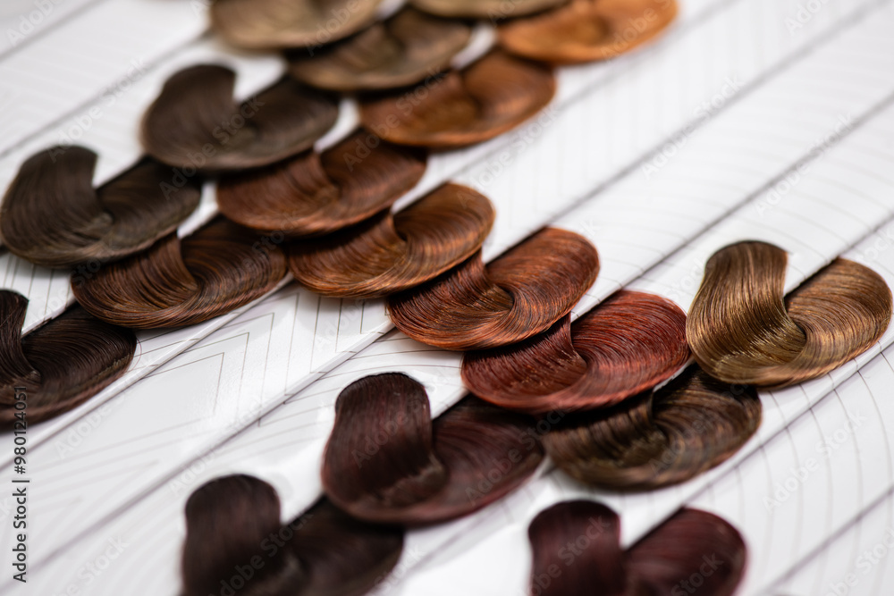 Set of hair samples with different natural color shade. Close-up of ...