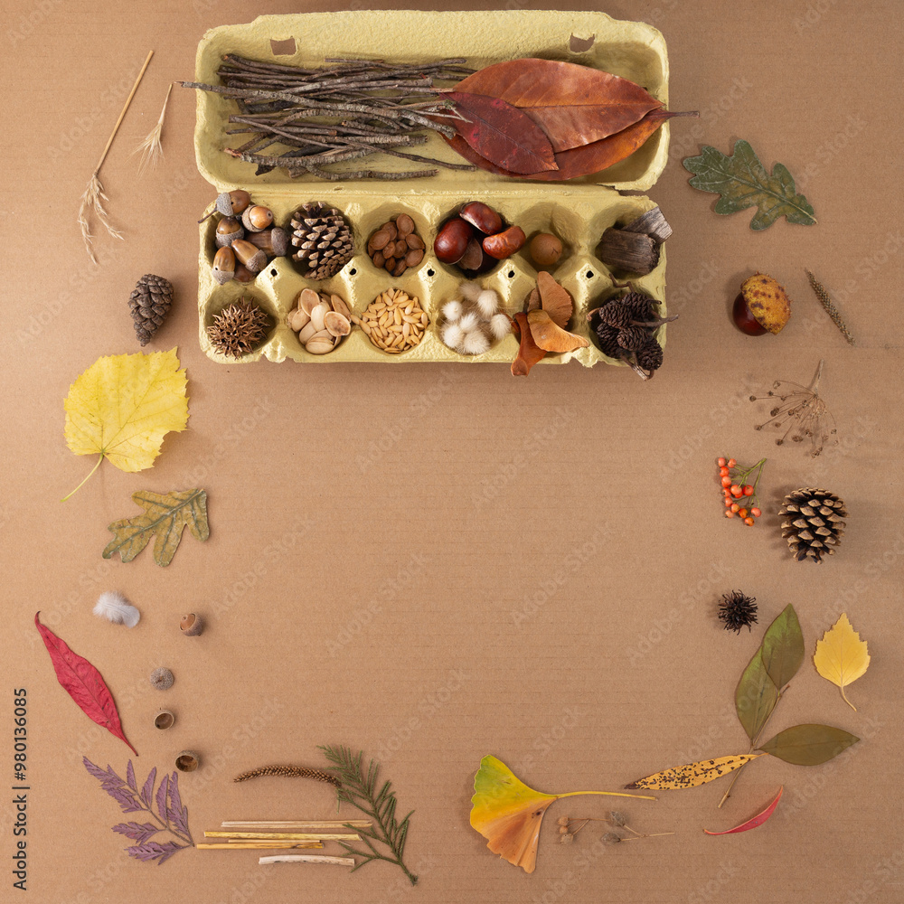 Autumn flat lay featuring craft kit with natural materials like acorns ...