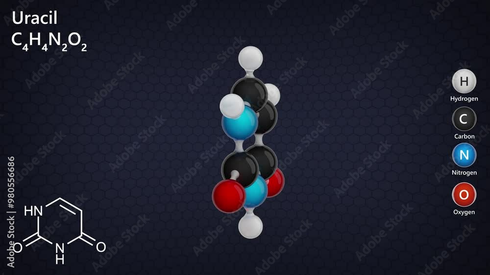 The 2d structure and a 3d model of molecule Uracil (C4H4N2O2). Uracil ...