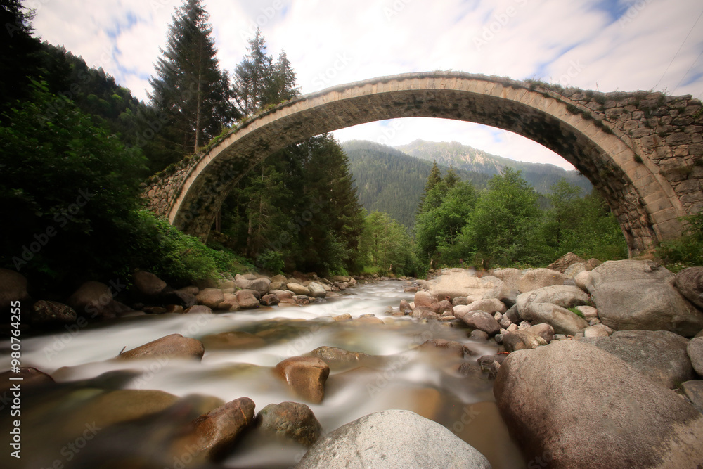 The bridge piers are placed on natural rocks in both directions. The ...