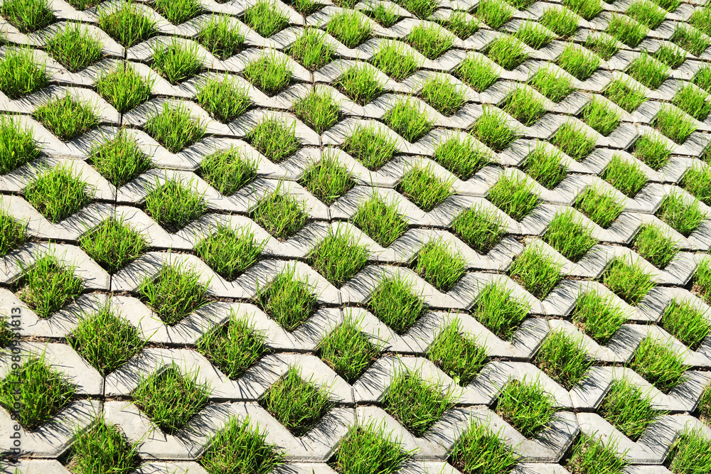 Polymer-sanded lawn grating for the construction of eco-parks Stock ...