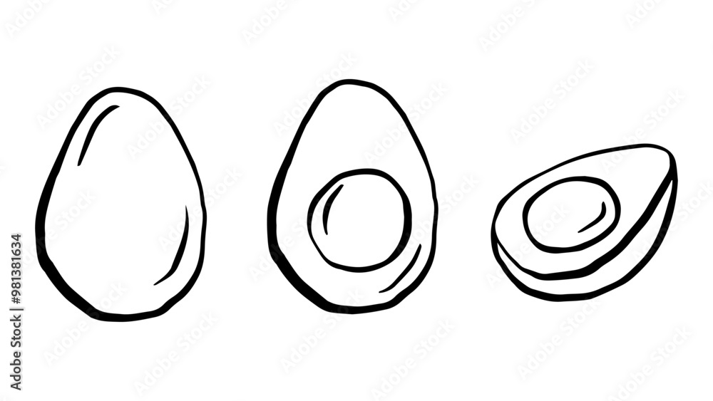 Eggs set doodle drawing, boiled eggs outline illustration, simple ...