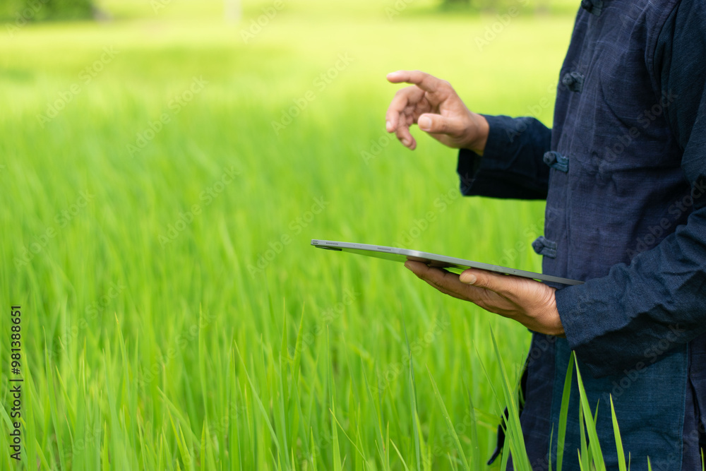 Farmers use monitoring technology to produce in rice fields, using ...