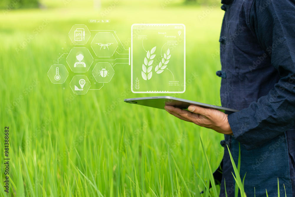 Farmers use tablet computers to connect to wireless feather network ...