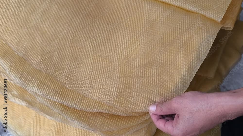 Screening of Rubber Sheet Quality, Ribbed Smoked Sheets are coagulated ...