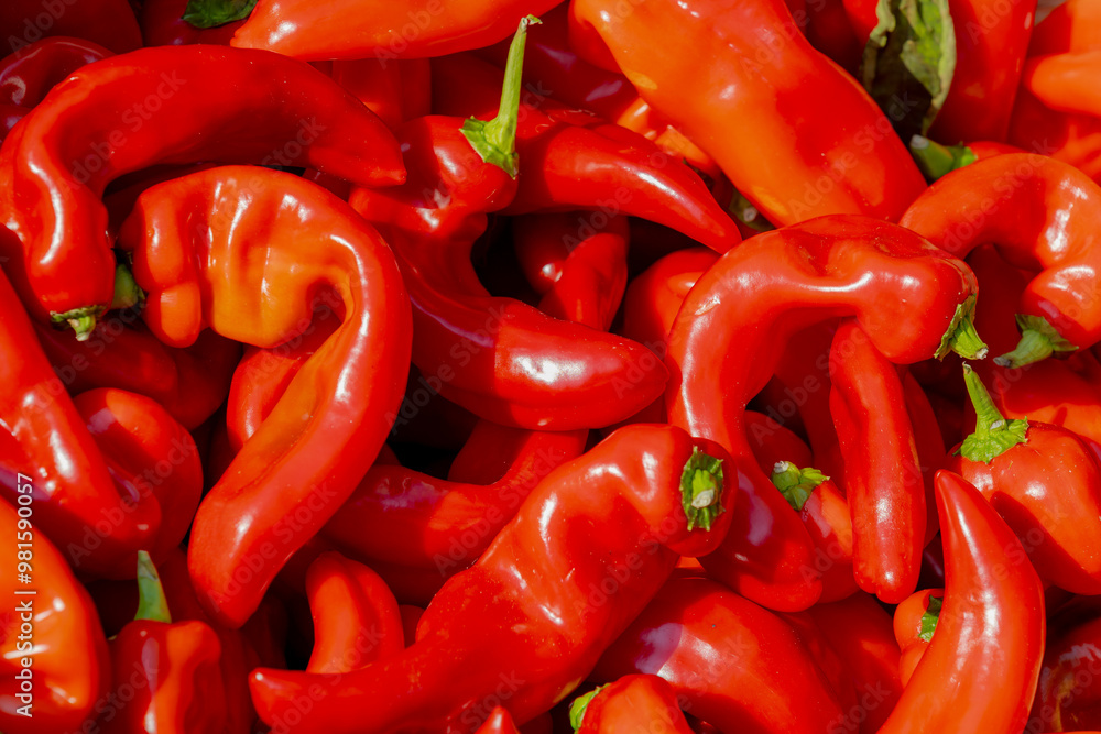 Cooking and ingredient concept, Stacked of sweet palermo pepper in ...