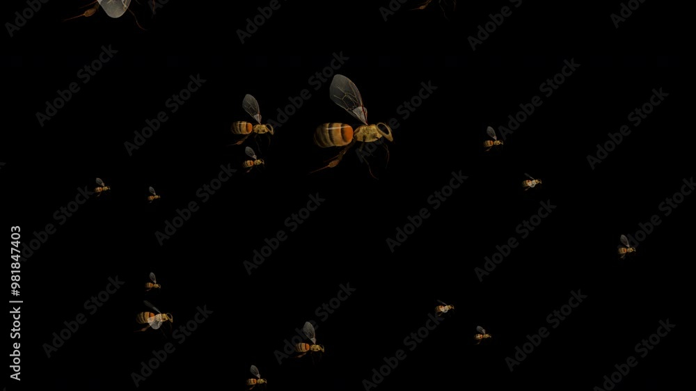 Common Bees - Large Swarm of 96 Bugs - Flying Over Screen Loop - Side ...