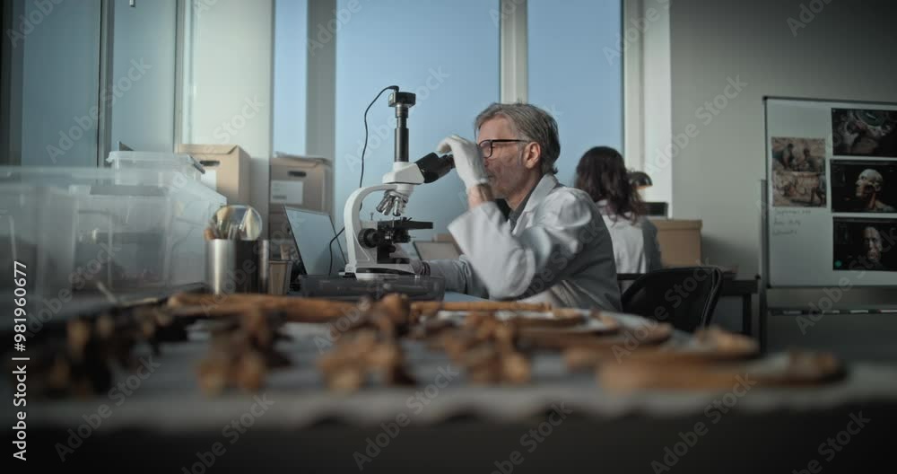 Mature scientist uses microscope, then examines bones of prehistoric ...