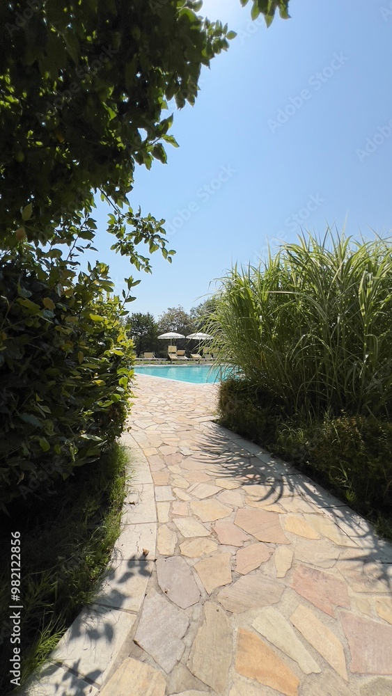 Path in the garden surrounded by plants that leads to pool with two ...