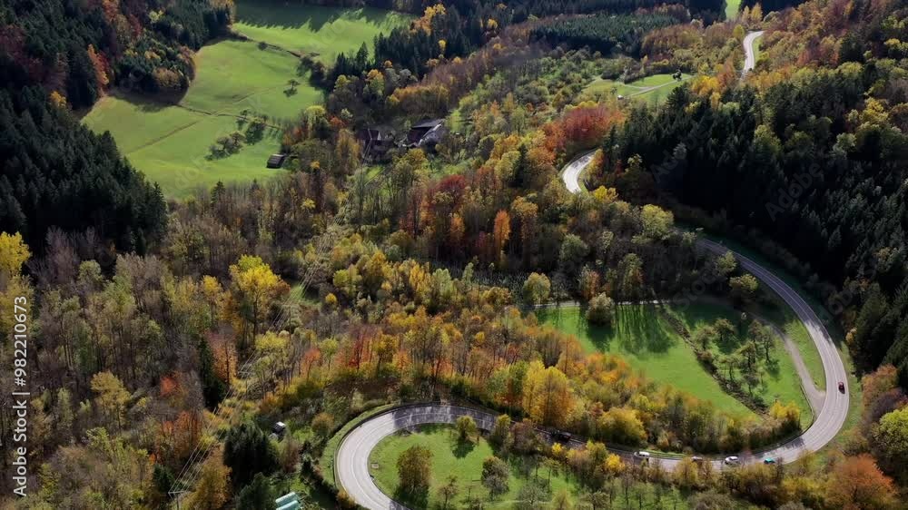 Aerial view of autumn trees on a sunny day in the Black Forest, Baar ...