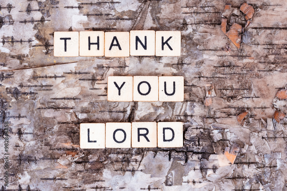 Thank You Lord, Christian Evangelical message in block wooden lettering ...