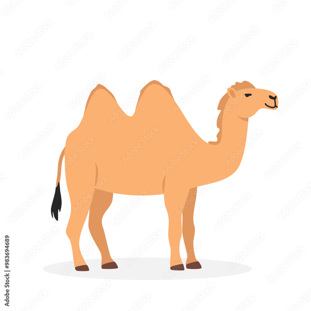 Bactrian camel simple vector illustration. Two-humped camel cartoon ...