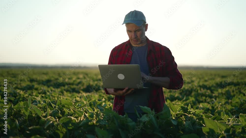 Farmer with laptop in soybean field. Modern farm technology. Farmer ...