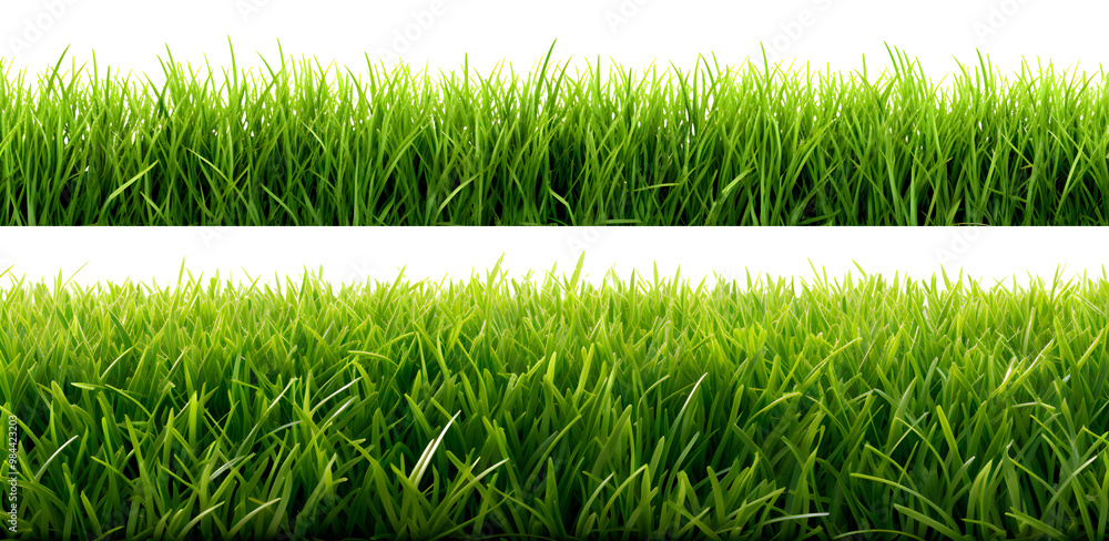 Set of Horizontally Aligned the Lush Green Lawn or Grassy Meadow close ...