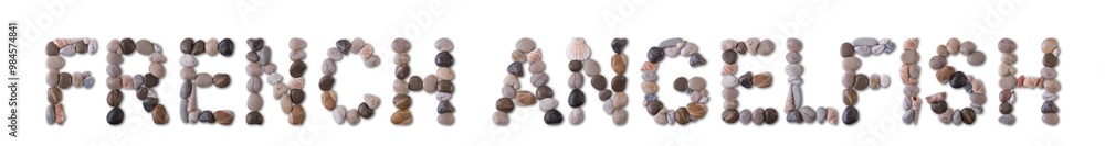 The word "FRENCH ANGELFISH" is lined with shells and stones of ...