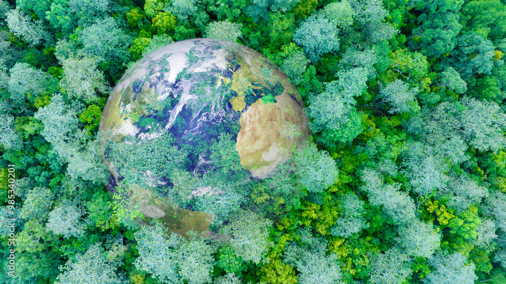 Aerial top view of green forest tree and global globe, Tropical rain ...