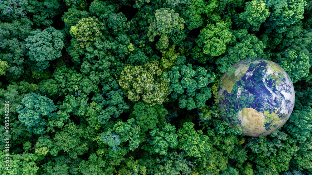 Aerial top view of green forest tree and global globe, Tropical rain ...