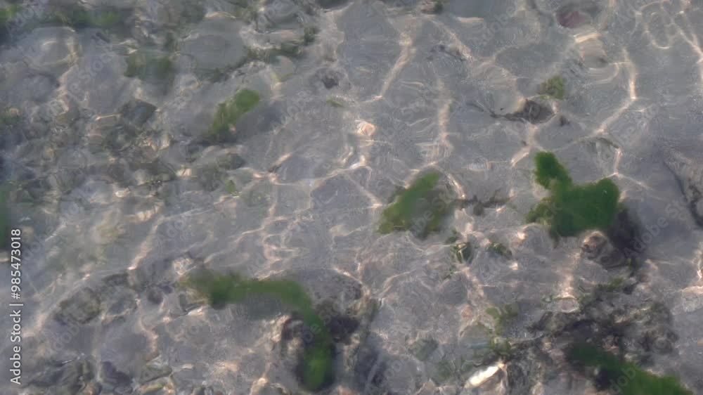 The texture of the seabed is visible from top to bottom, the ripples of ...