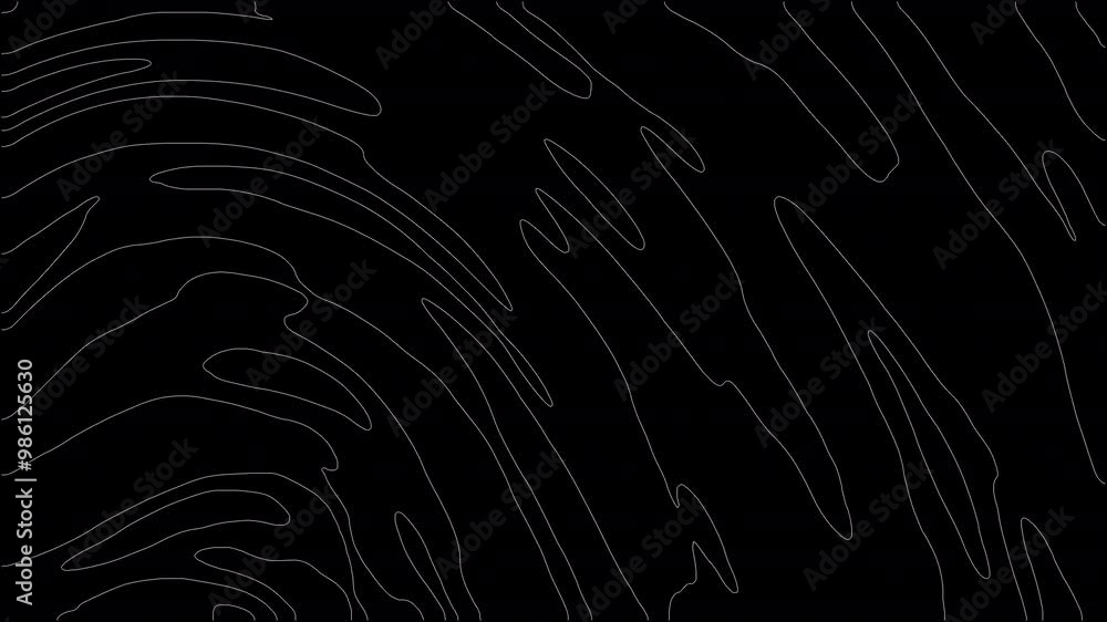 Topographic line map Overlay animation background High-Resolution ...