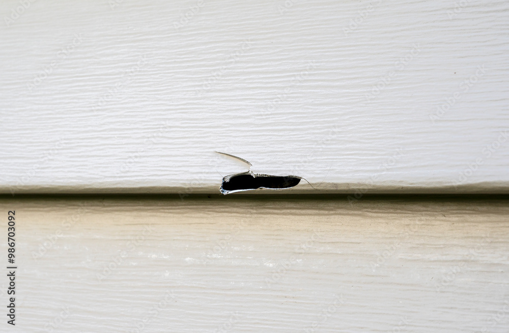 Vinyl Siding Damage. Cracked and broken vinyl siding of house from ...
