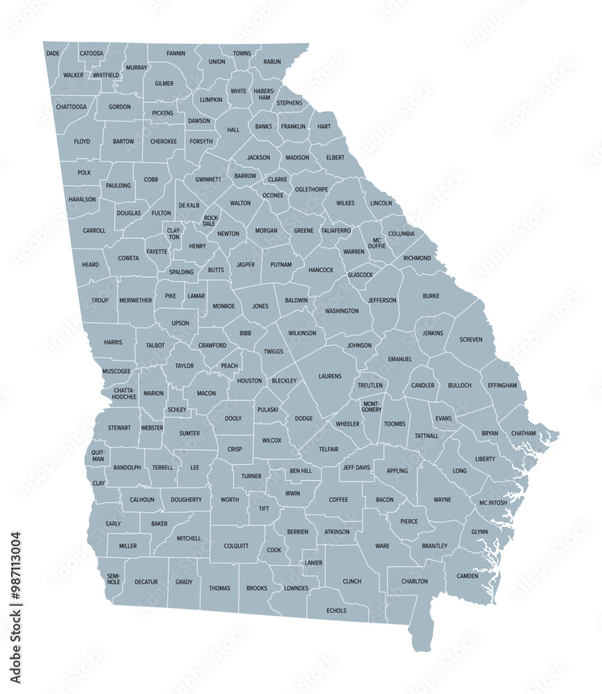 Georgia counties, gray political map. State in the Southeastern region ...