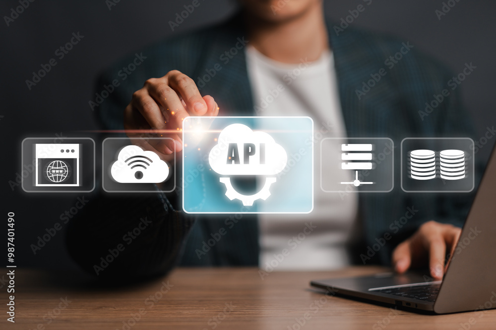 A visual representation of the Application Programming Interface (API ...