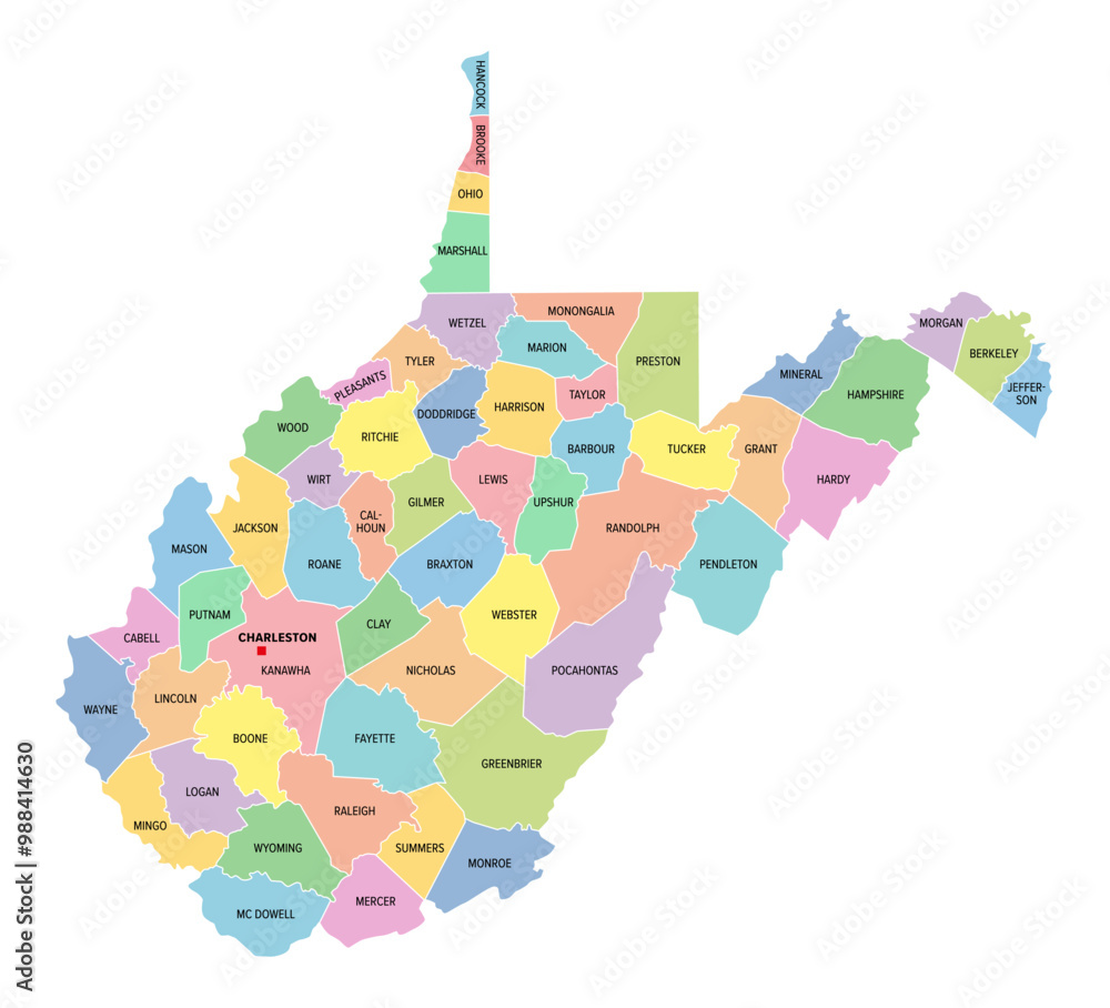 West Virginia, U.S. state, subdivided into 55 counties, multi colored ...