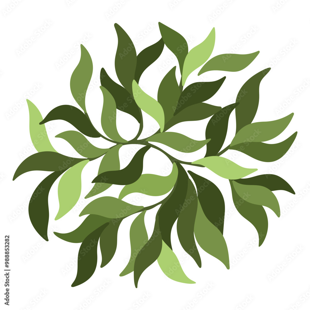 Tree for architectural floor plans. Entourage design. Various trees ...