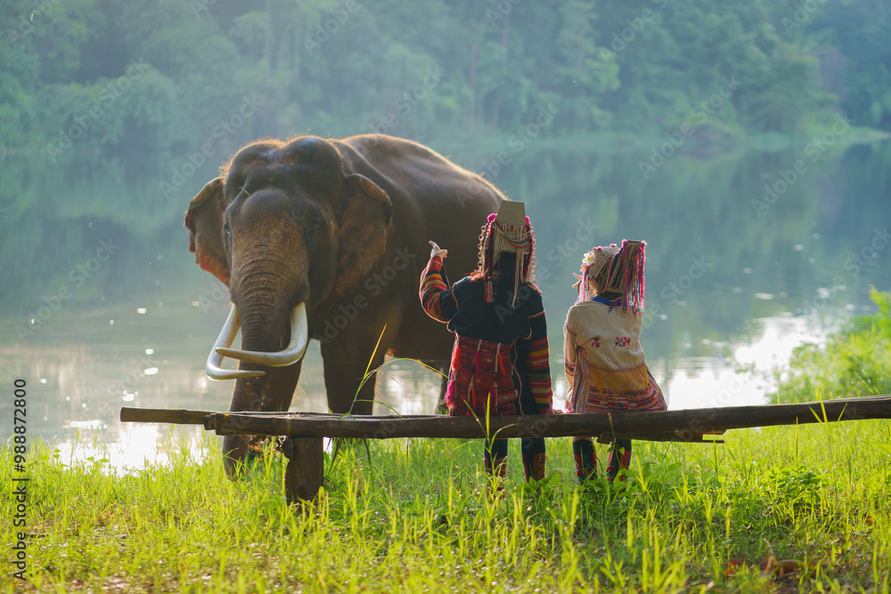 Group of Akha hill tribe enjoys Asian elephants at the Thai Elephant ...