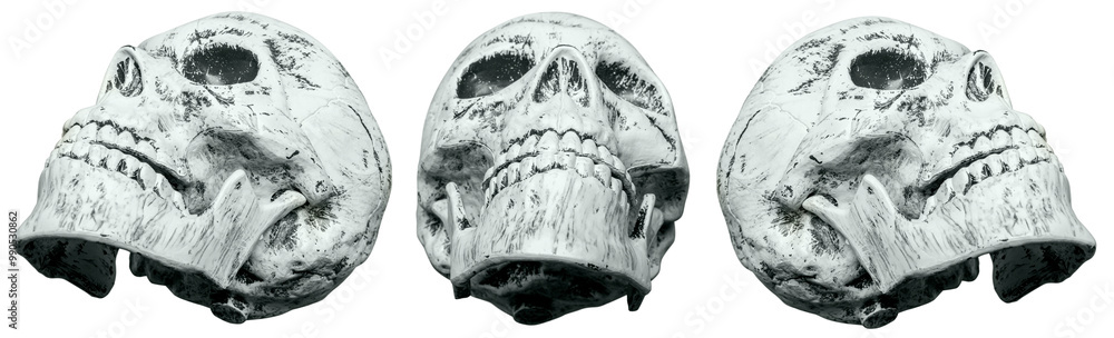 Set of human skull heads isolated over a white background. The human ...