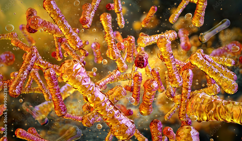 Corynebacterium gram-positive, rod-shaped bacteria colony. 3D ...